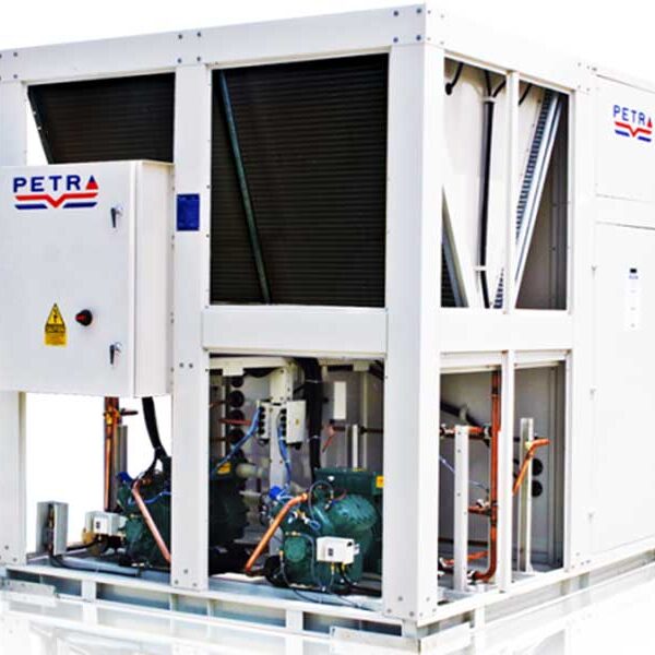 Petra International export | Shop