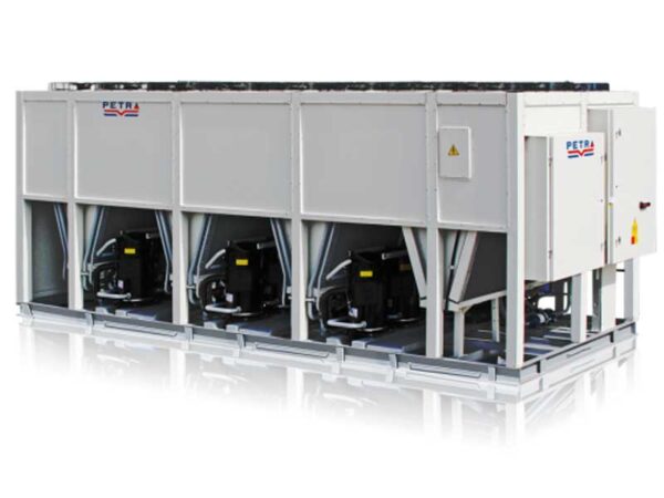 Petra International export | Shop